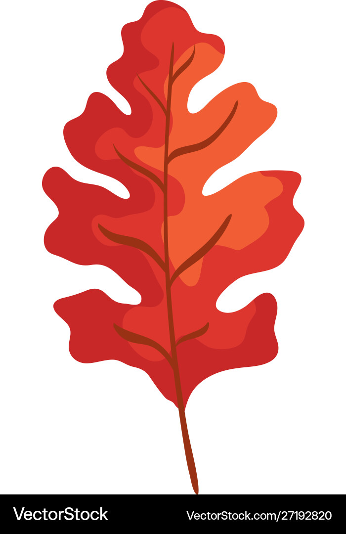Season autumn leaf isolated icon Royalty Free Vector Image