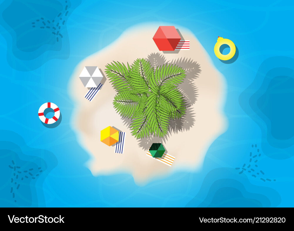 Top tree palm island view aerial Royalty Free Vector Image