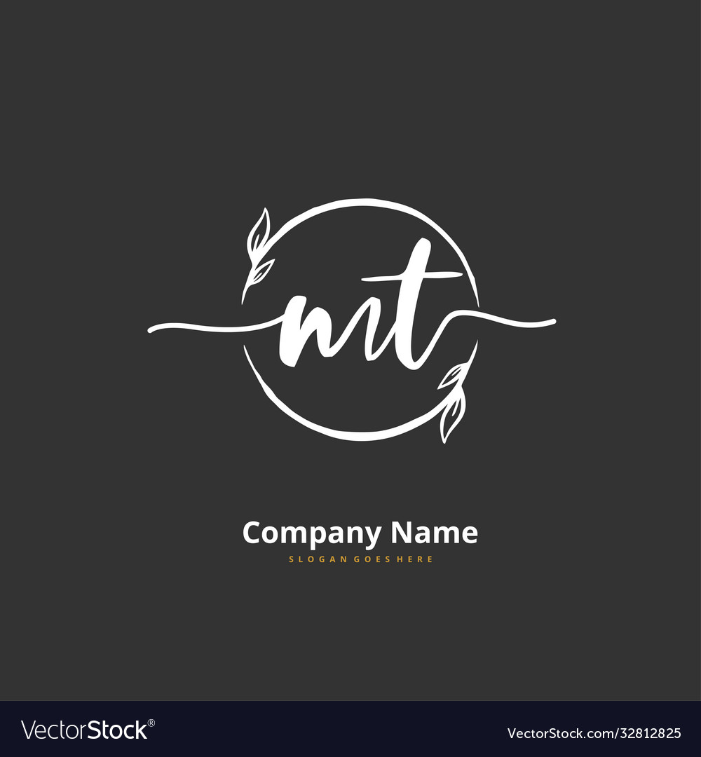 M t mt initial handwriting and signature logo Vector Image