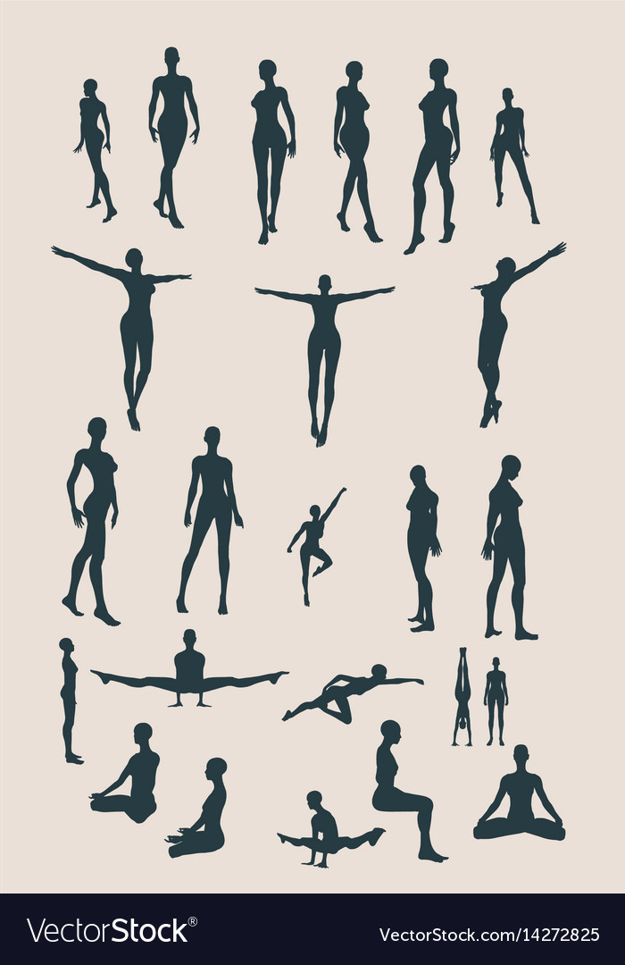 Set Of Sexy Women Silhouettes Royalty Free Vector Image