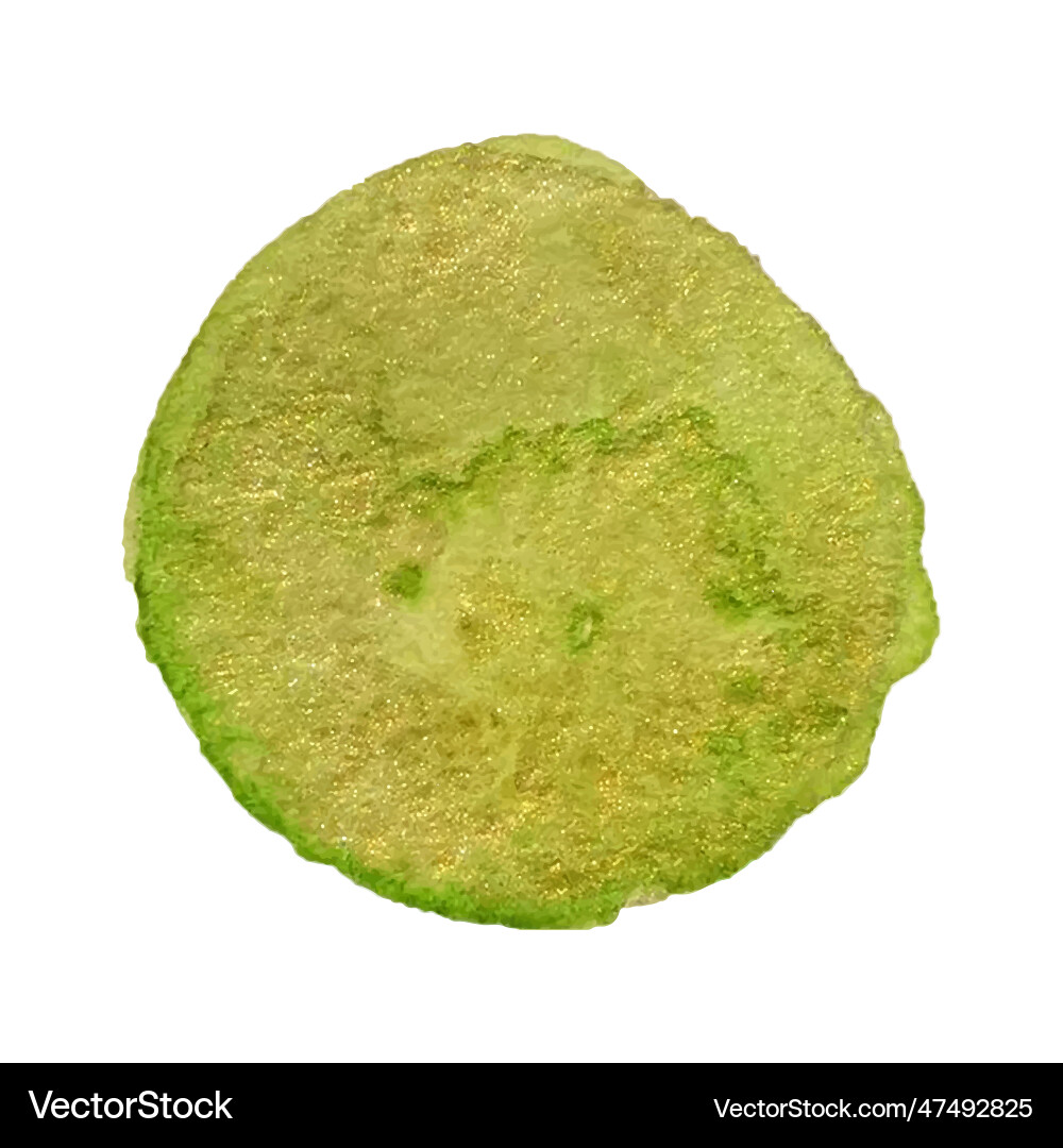 Watercolor green circle texture with gold Vector Image