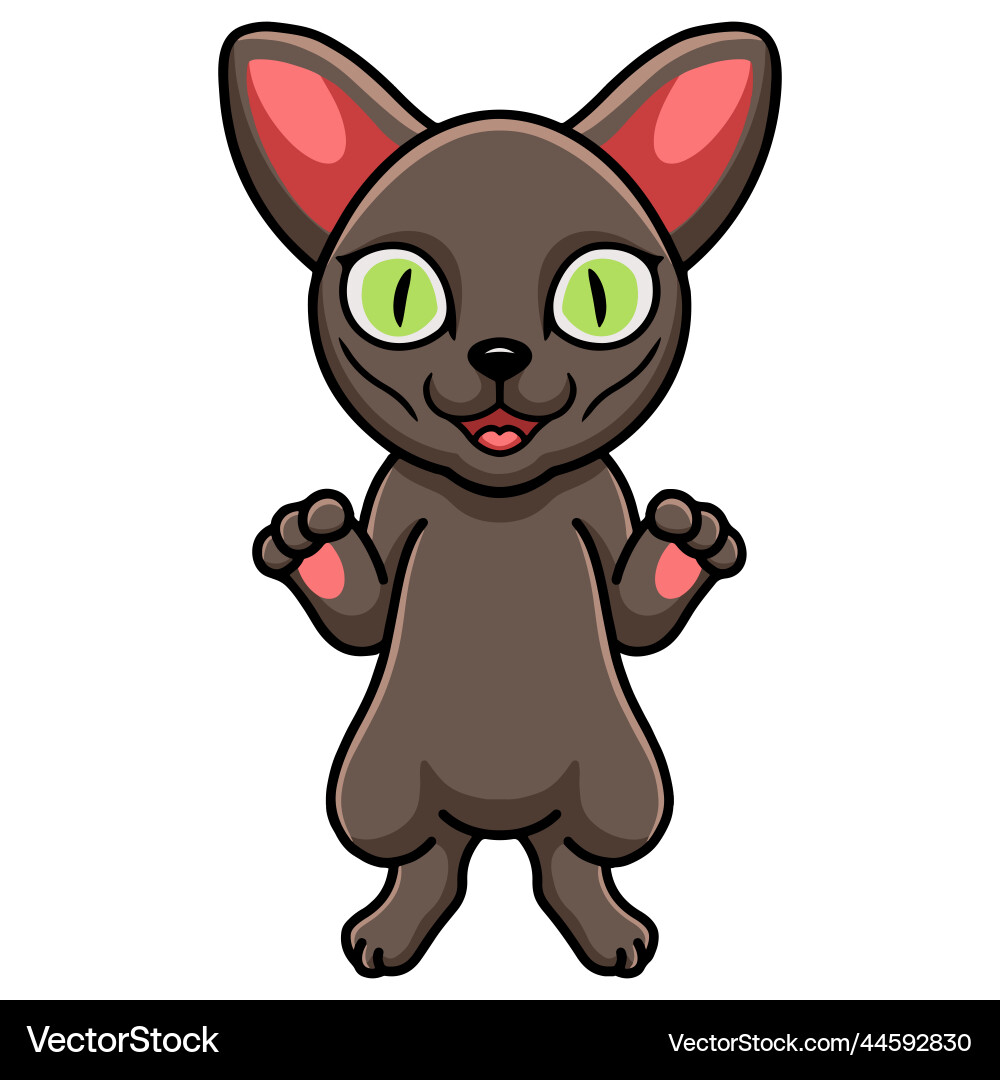 Cute korat cat cartoon standing Royalty Free Vector Image