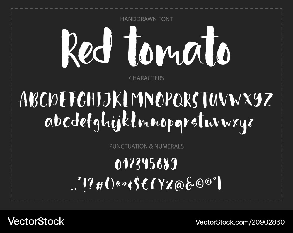 Red tomato handdrawn ink brush font Royalty Free Vector
