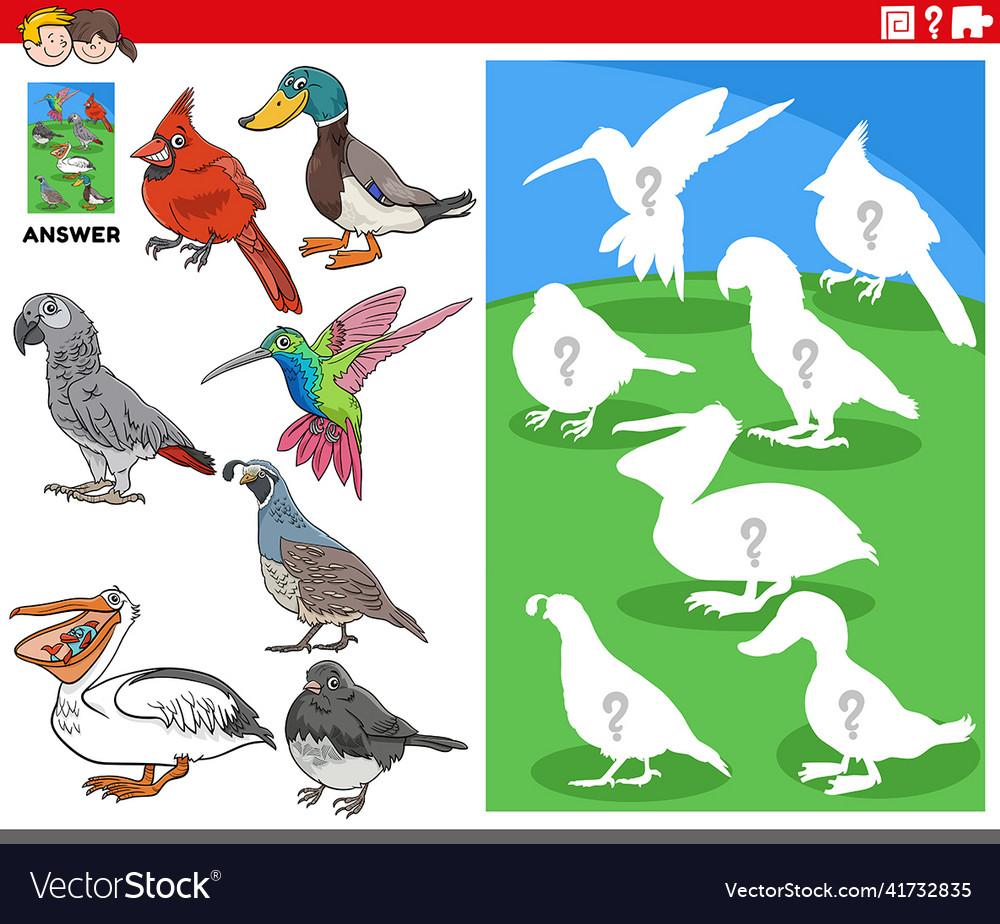 Matching shapes game with cartoon birds animal Vector Image