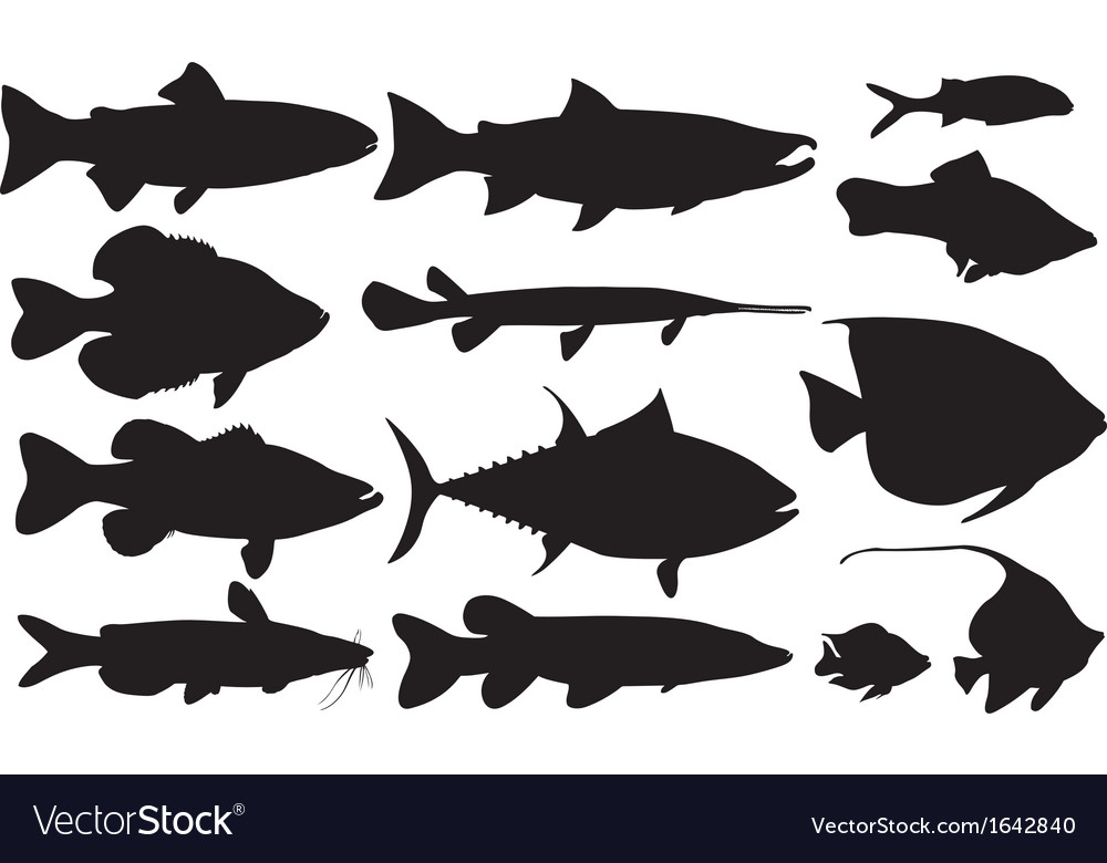 Fish Royalty Free Vector Image - VectorStock