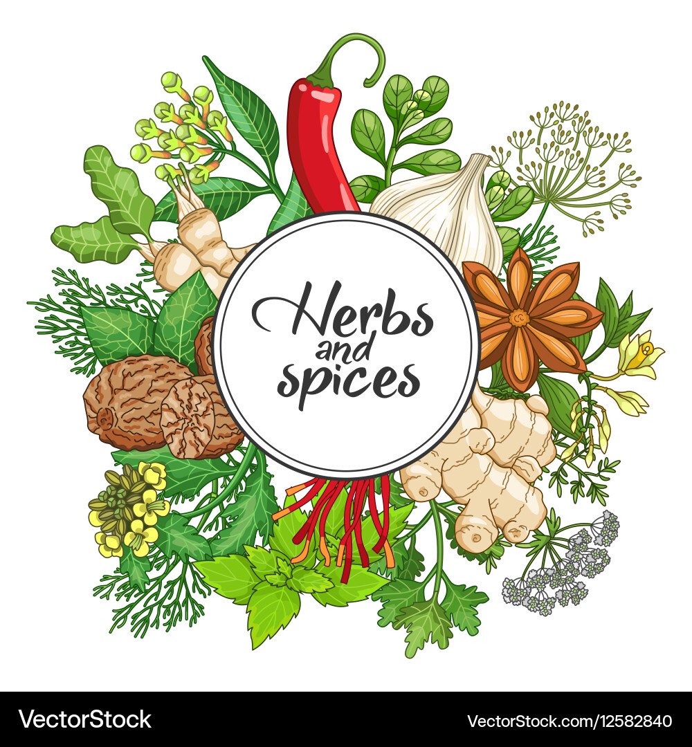 Hot round design with spices and herbs Royalty Free Vector