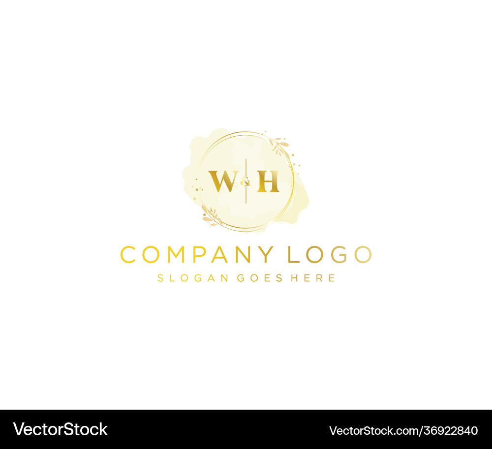 Initial wh letters colorful watercolor splash Vector Image