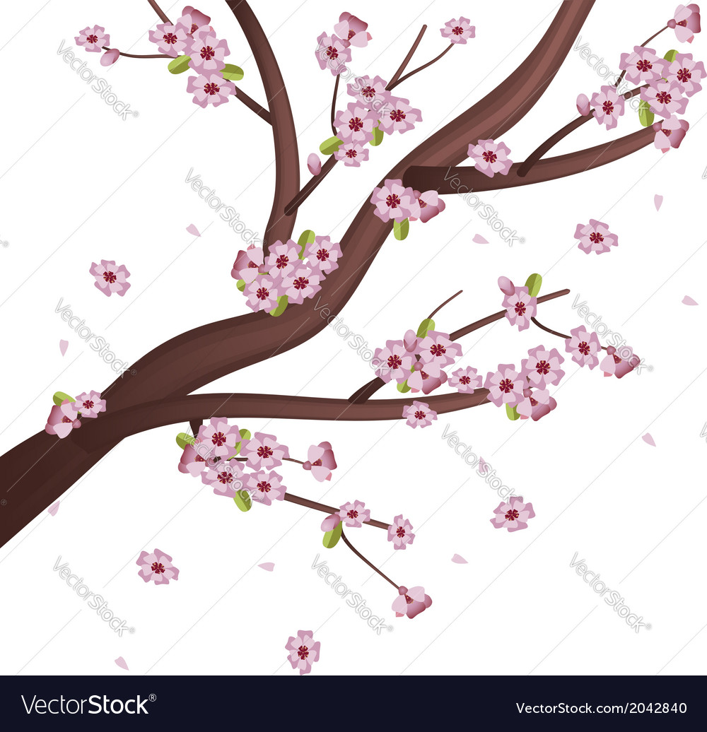 Sakura tree Royalty Free Vector Image - VectorStock