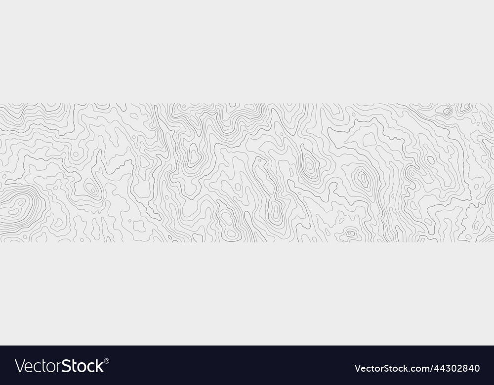 Topographic map patterns topography line Vector Image