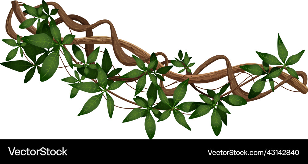 Tropical liana swirl composition Royalty Free Vector Image