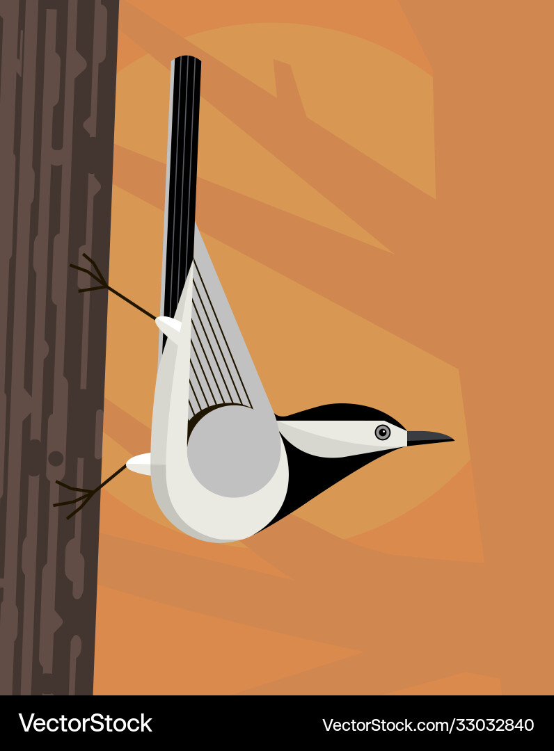 White wagtail Royalty Free Vector Image - VectorStock