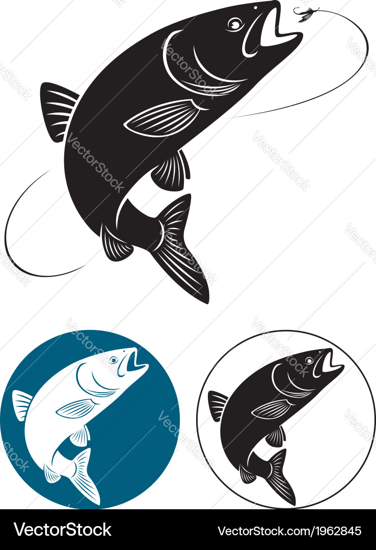 Fish chub Royalty Free Vector Image - VectorStock