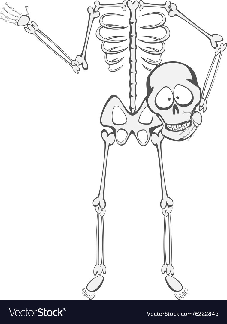 Skeleton buddy Royalty Free Vector Image - VectorStock