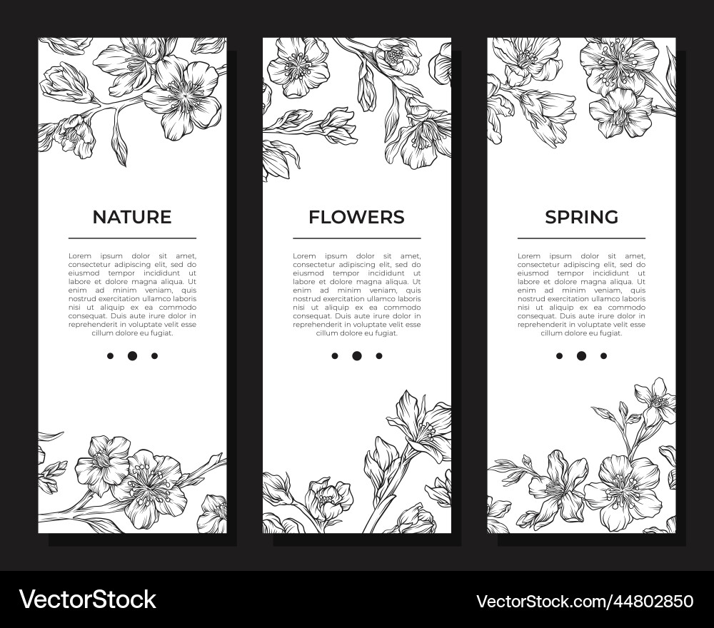 Nature flower and spring onboard screen templates Vector Image