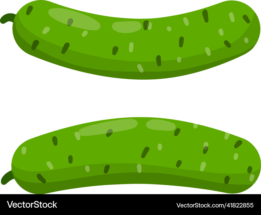 Cucumber green fresh vegetable Royalty Free Vector Image