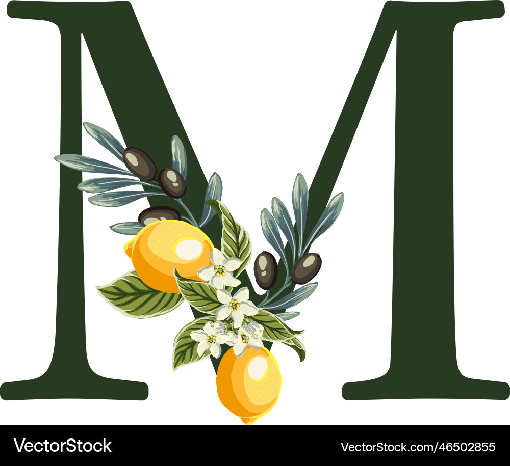 Letter m from alphabet with lemons and olive Vector Image