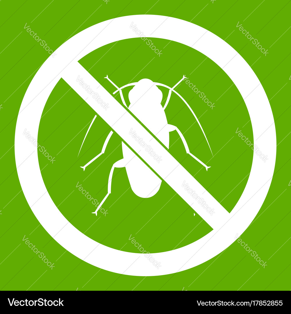 No cockroach sign icon green Royalty Free Vector Image