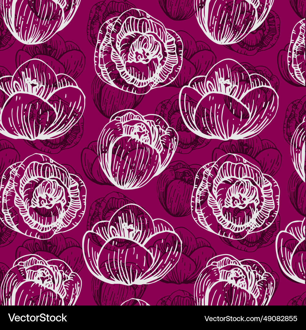 Pattern of magenta color with crocus buds Vector Image