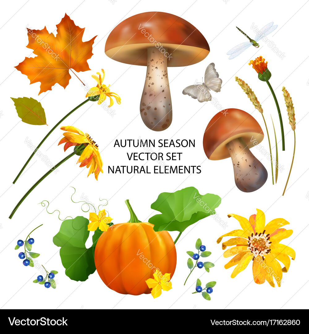Autumn season collection Royalty Free Vector Image