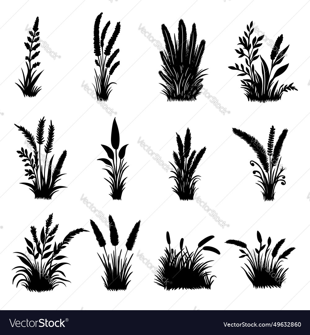 Grass elements set collection Royalty Free Vector Image