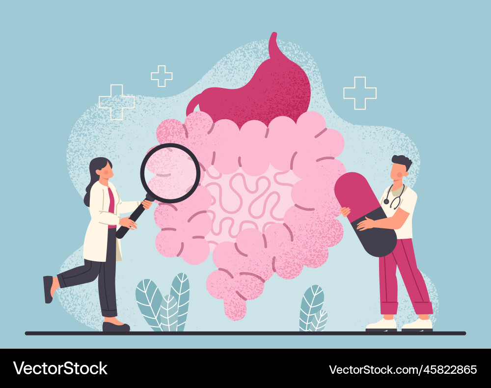 Concept of gastroenterology Royalty Free Vector Image