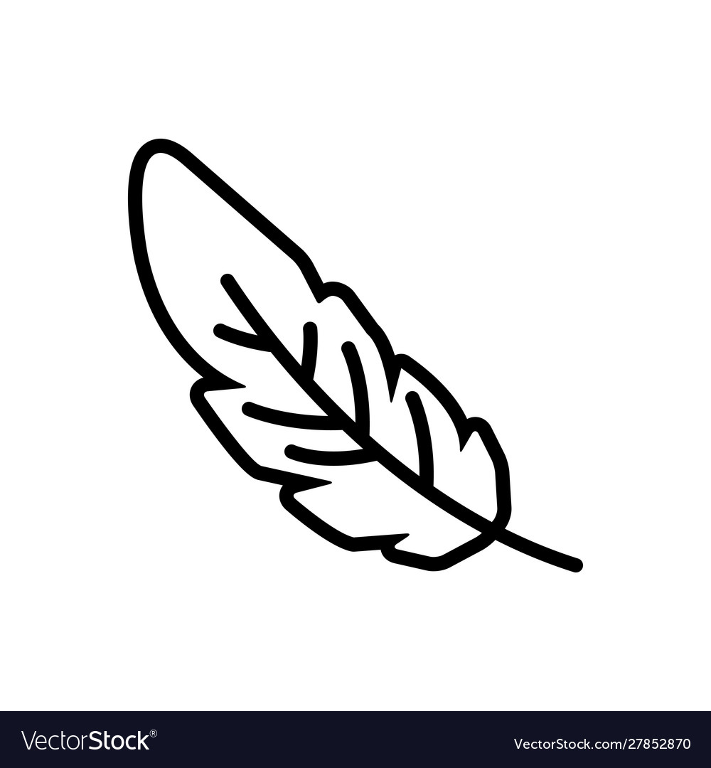 Feather Royalty Free Vector Image - VectorStock