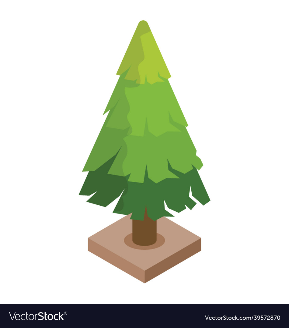 Pine tree Royalty Free Vector Image - VectorStock