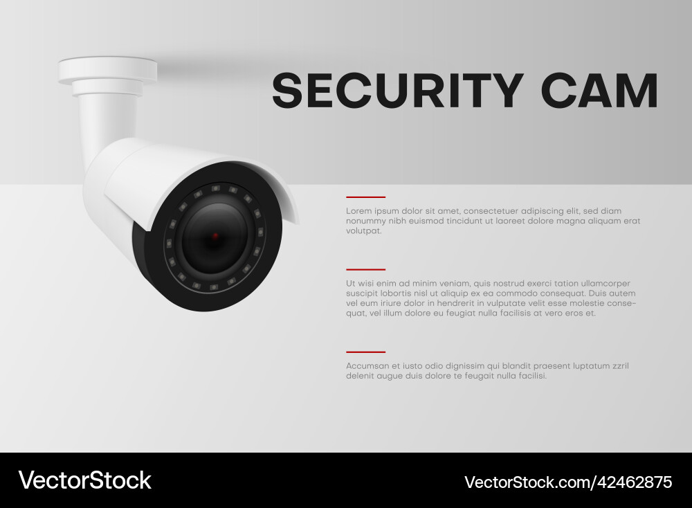 Security surveillance cam monitoring system Vector Image