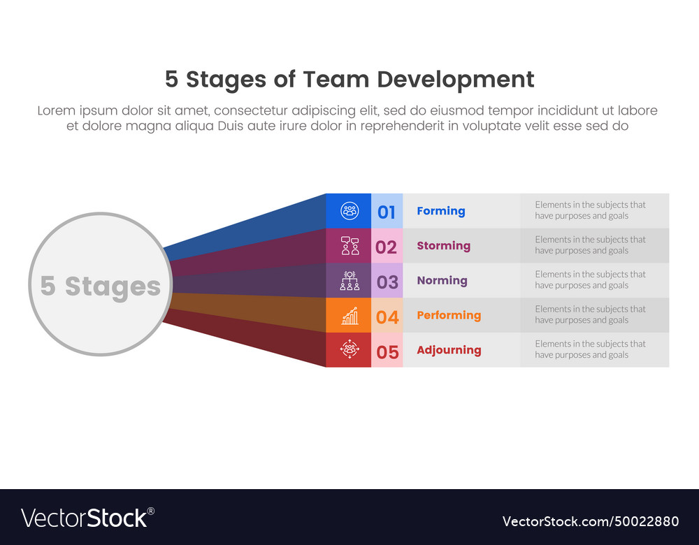 5 stages team development model framework Vector Image