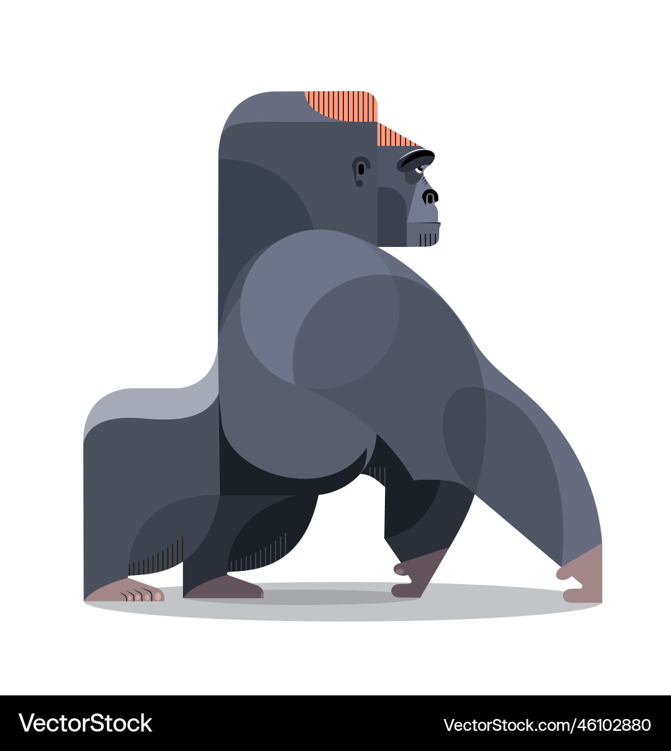 Majestic Gorilla Royalty Free Vector Image Vectorstock