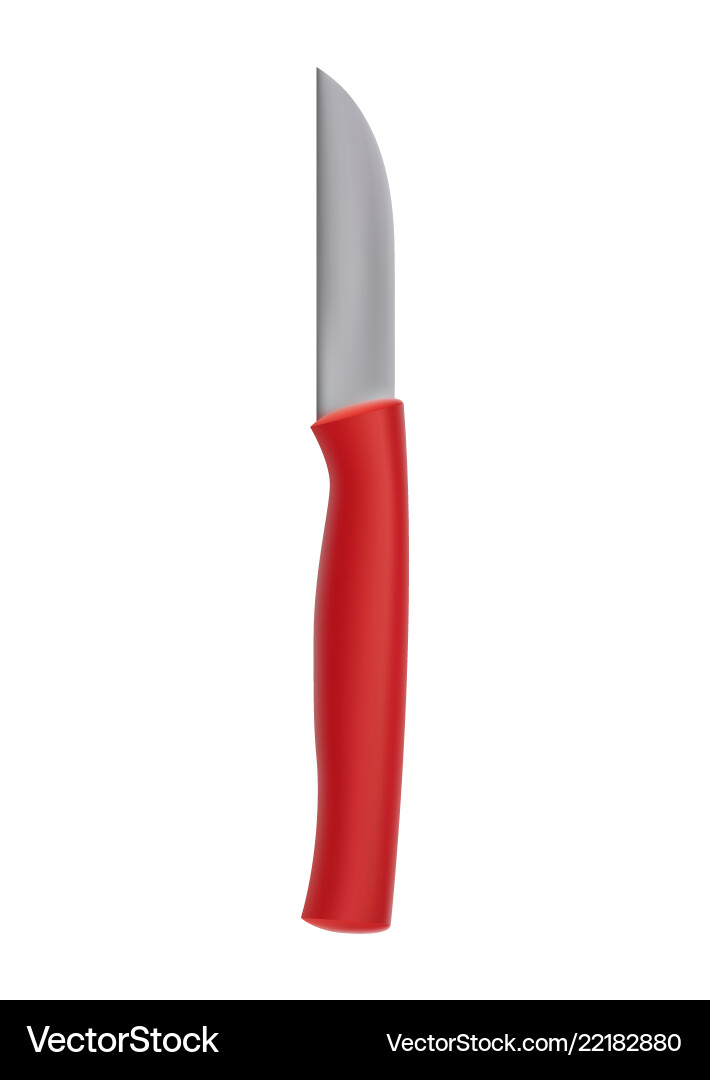 Steel kitchen knife - mock up template isolated Vector Image