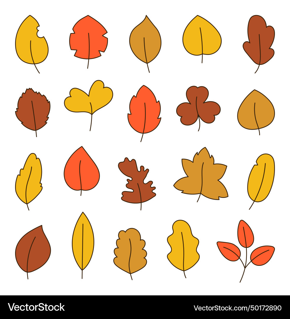 Autumn leaf nature hand drawn style drawing Vector Image