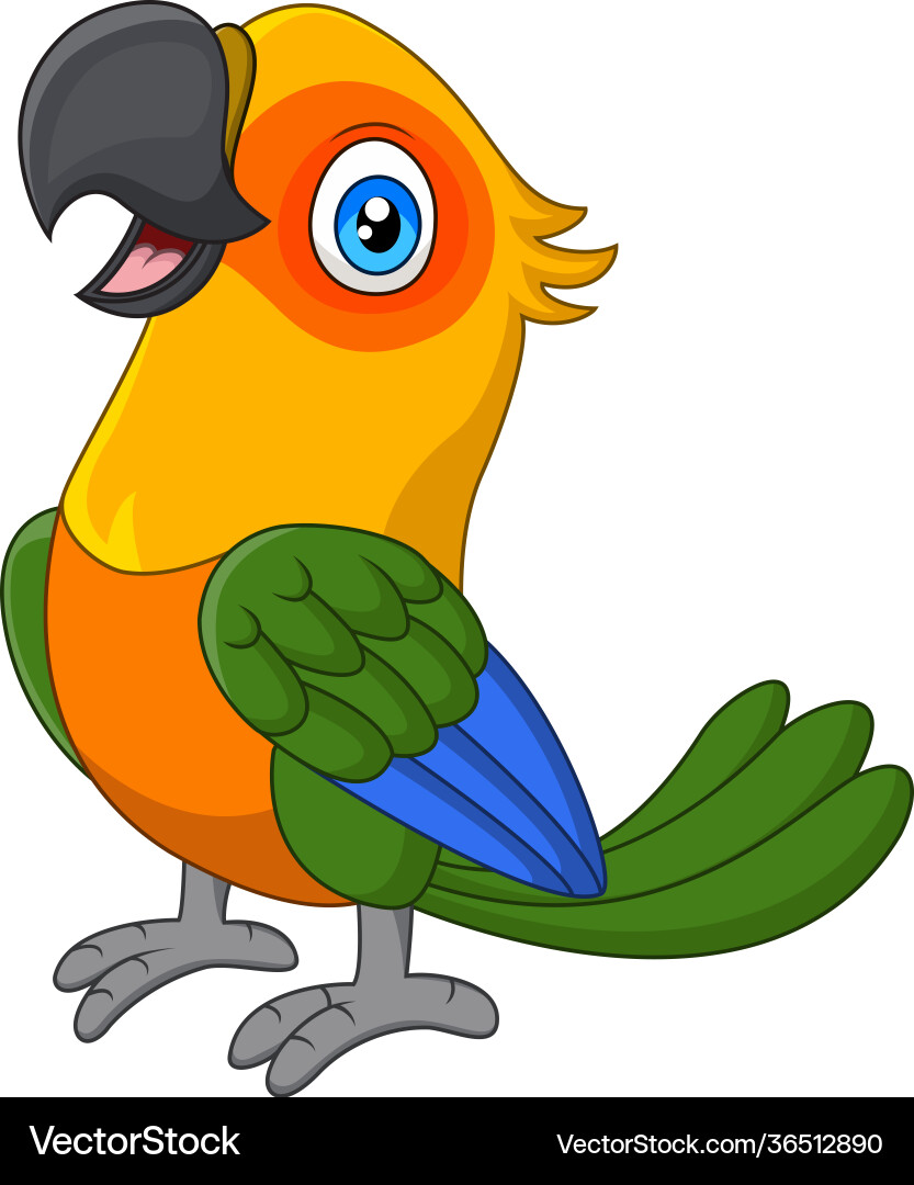 Cartoon funny macaw on white background Royalty Free Vector