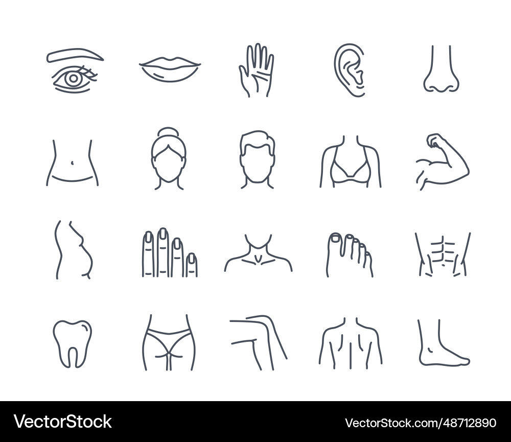 Human body parts icon set Royalty Free Vector Image