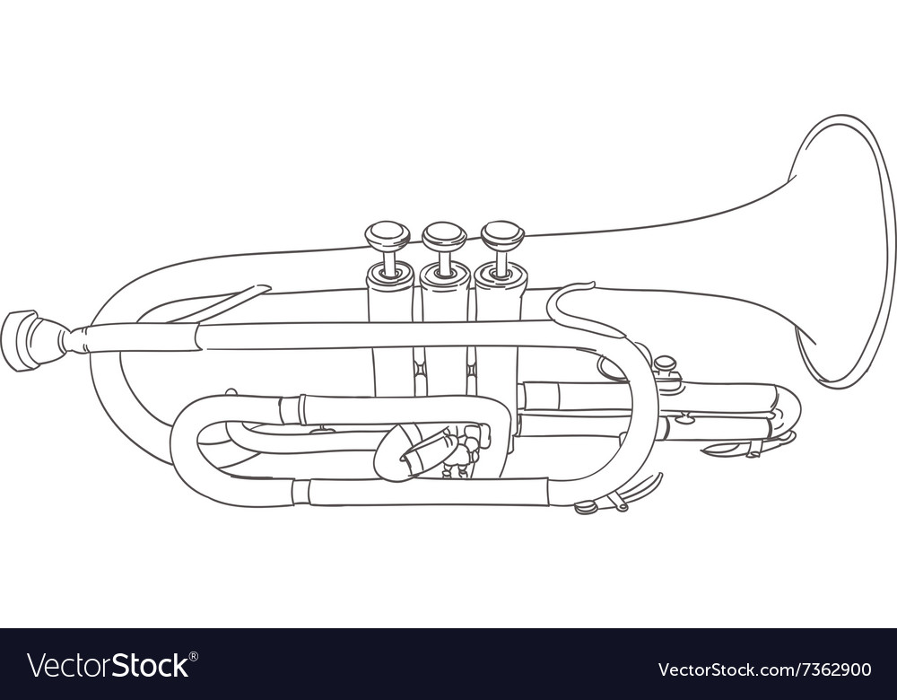 Cornet Royalty Free Vector Image - VectorStock
