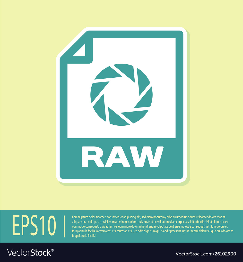 Green raw file document icon download raw button Vector Image