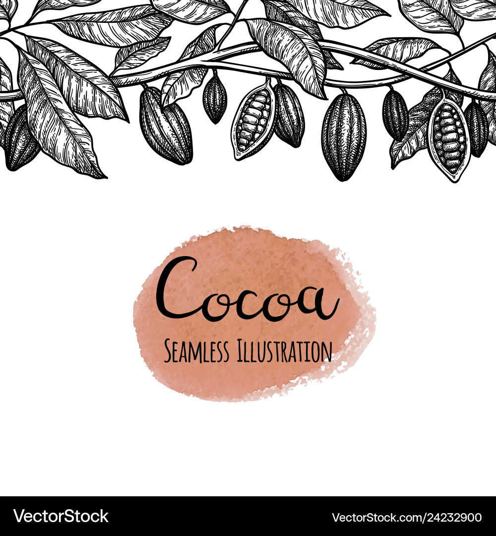 Seamless of cocoa Royalty Free Vector Image - VectorStock