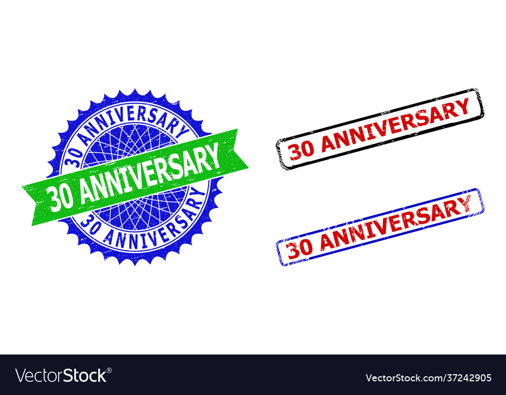30 anniversary rosette and rectangle bicolor Vector Image