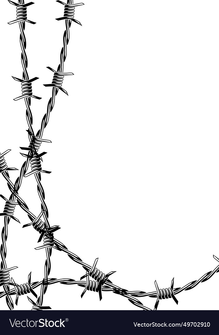Barbed wire background sharp barbwire border Vector Image