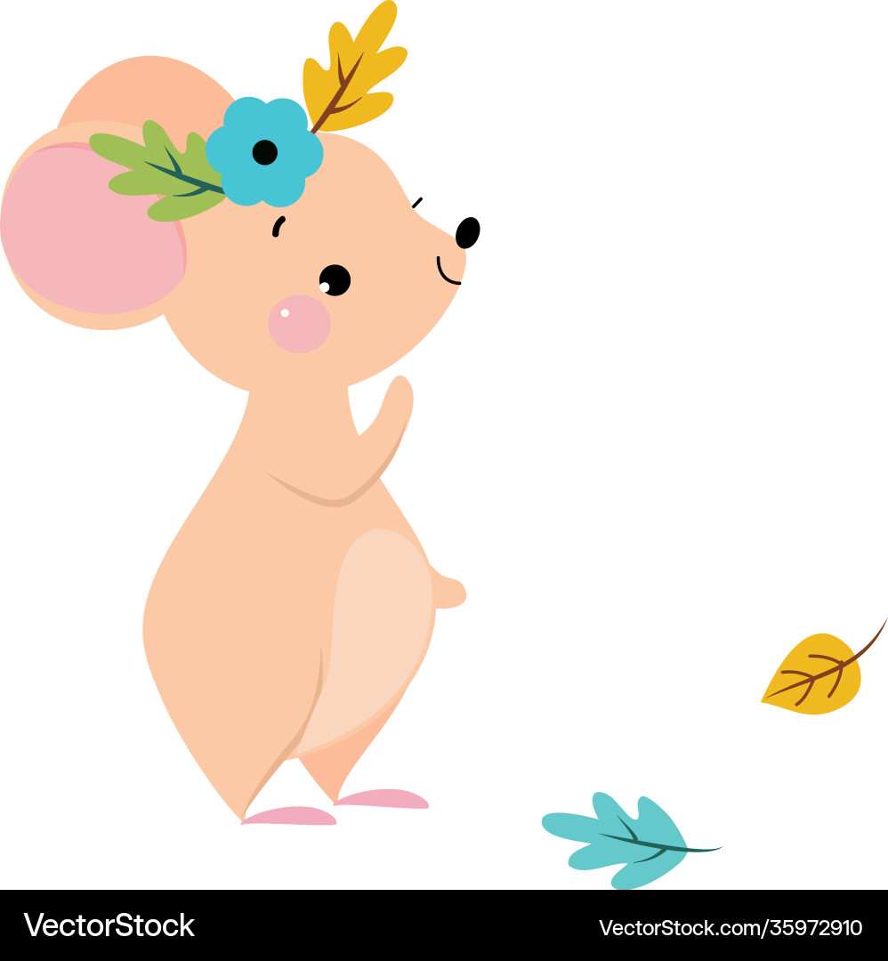 Funny mouse with pointed snout and rounded ears Vector Image
