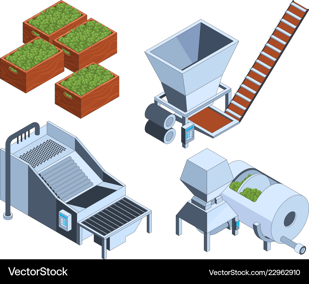 Olive production oil plants extraction technology Vector Image