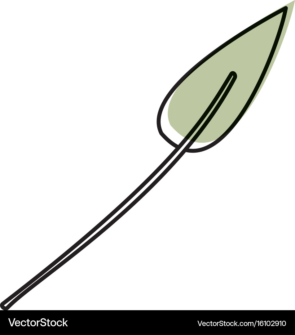 Watercolor silhouette of small lanceolate leaf Vector Image