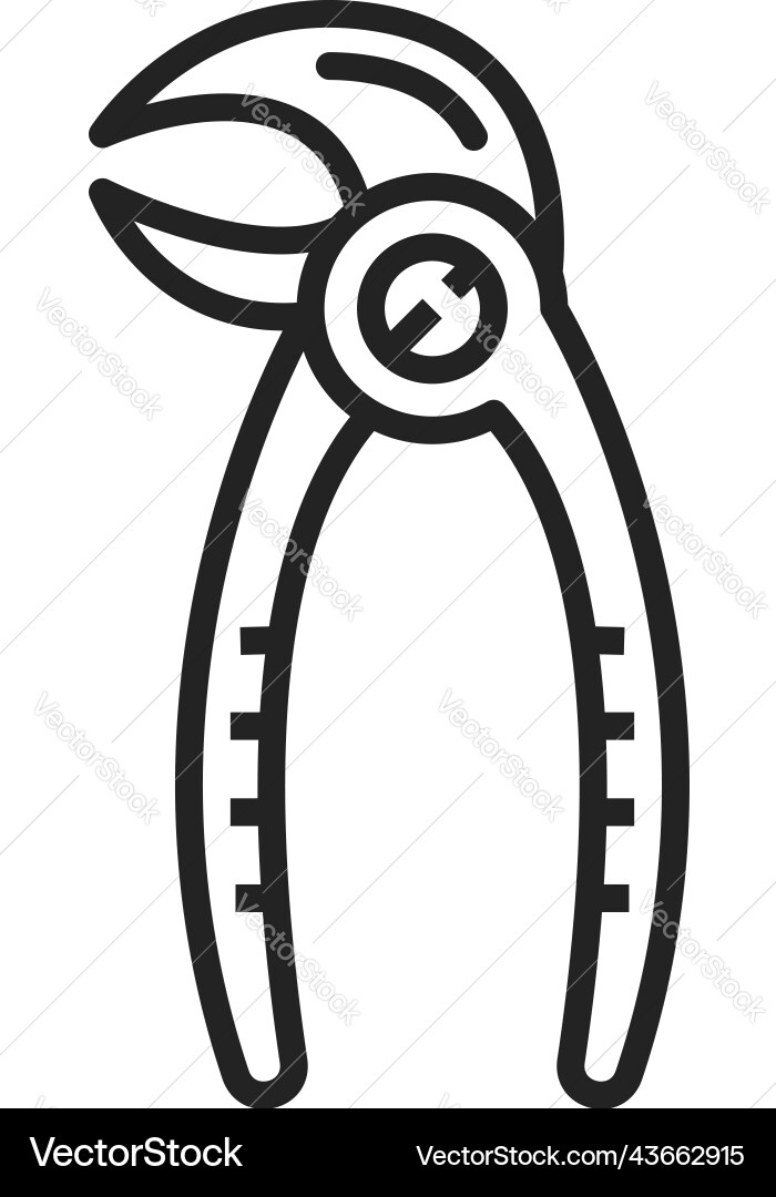 Forceps to extract tooth isolated dental pliers Vector Image