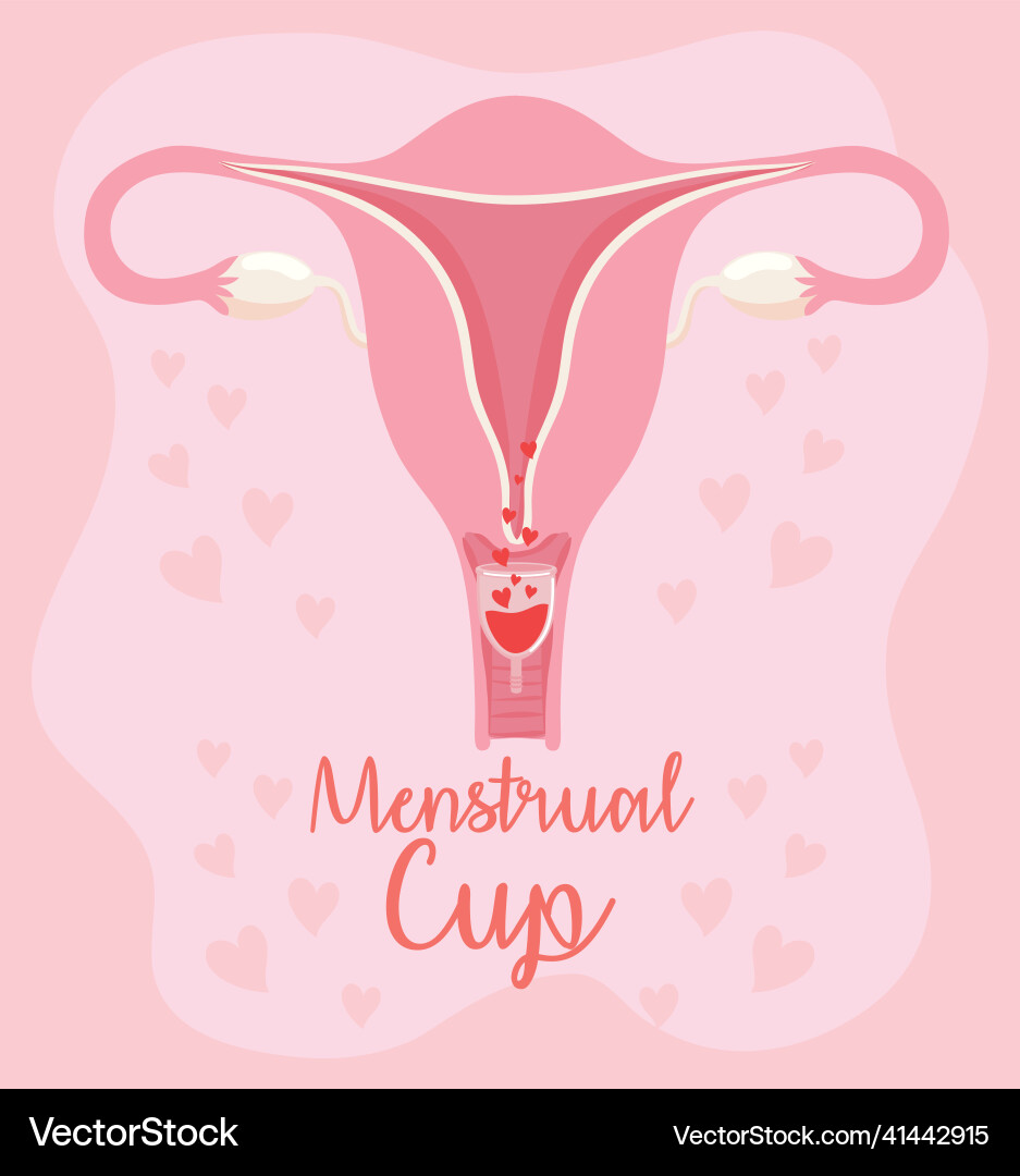 Menstrual cup in uterus Royalty Free Vector Image