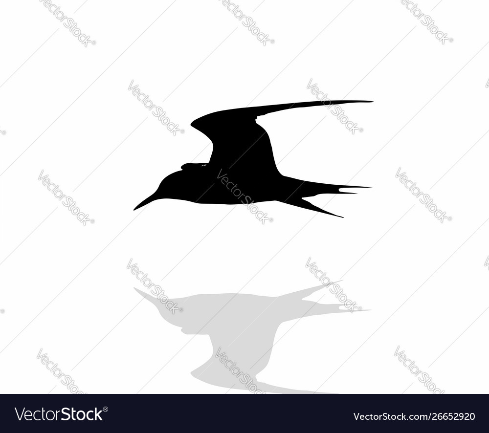 Flying bird Royalty Free Vector Image - VectorStock