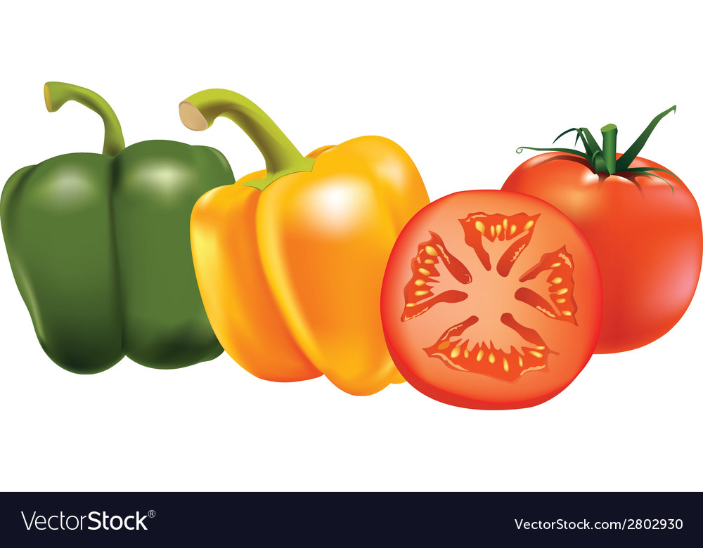 Vegetable Royalty Free Vector Image - VectorStock