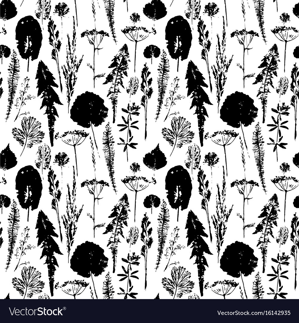 Abstract botanical seamless pattern herbal Vector Image