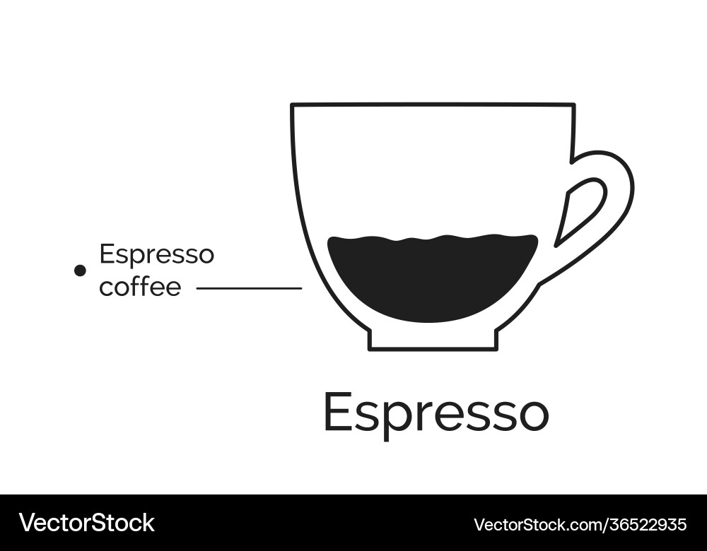 Infographic espresso coffee recipe Royalty Free Vector Image