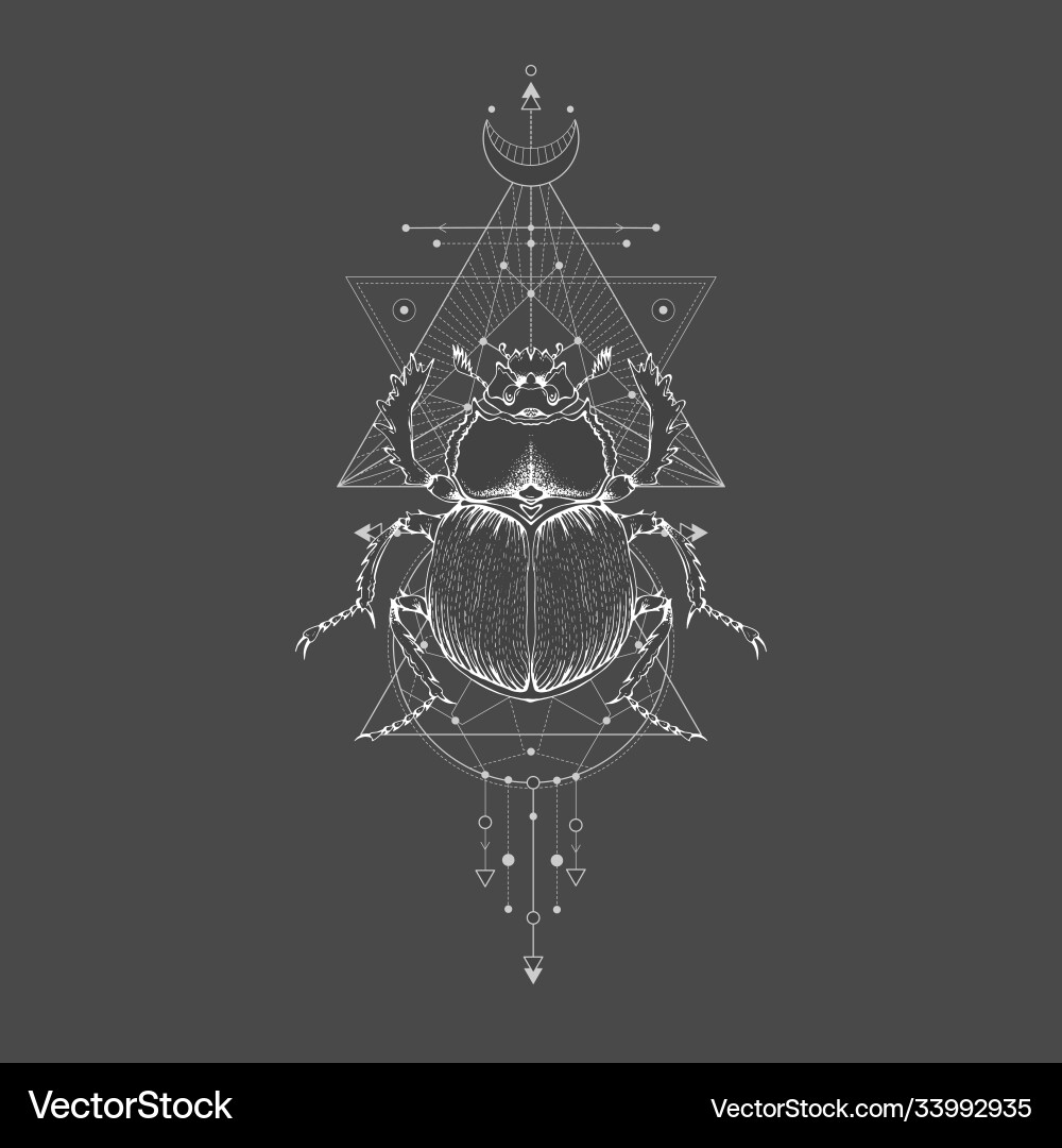 Scarab and geometric symbol Royalty Free Vector Image