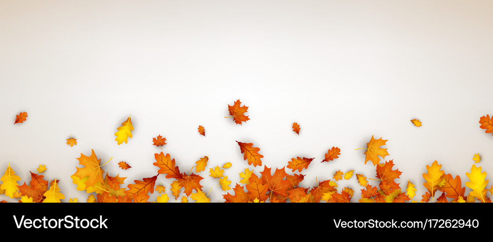 Autumn banner with orange leaves Royalty Free Vector Image